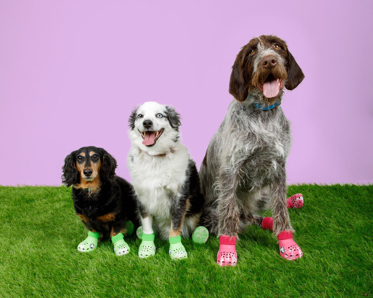 CROCTOBER BRINGS FANS' WILDEST DREAMS TO LIFE, FROM PET CROCS TO A LIFE ...